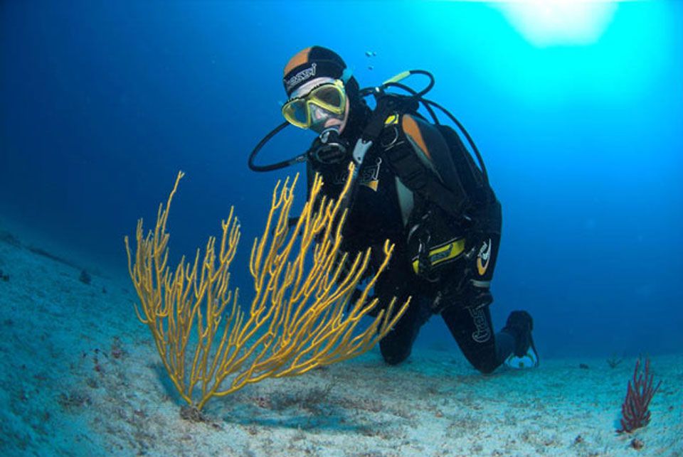 El Faro, visit this diving spot in Fuerteventura