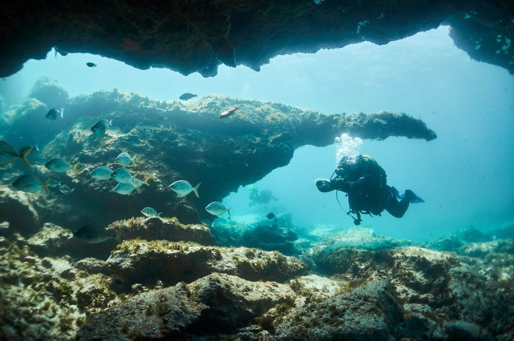Diving in Spain: the best spots for all levels