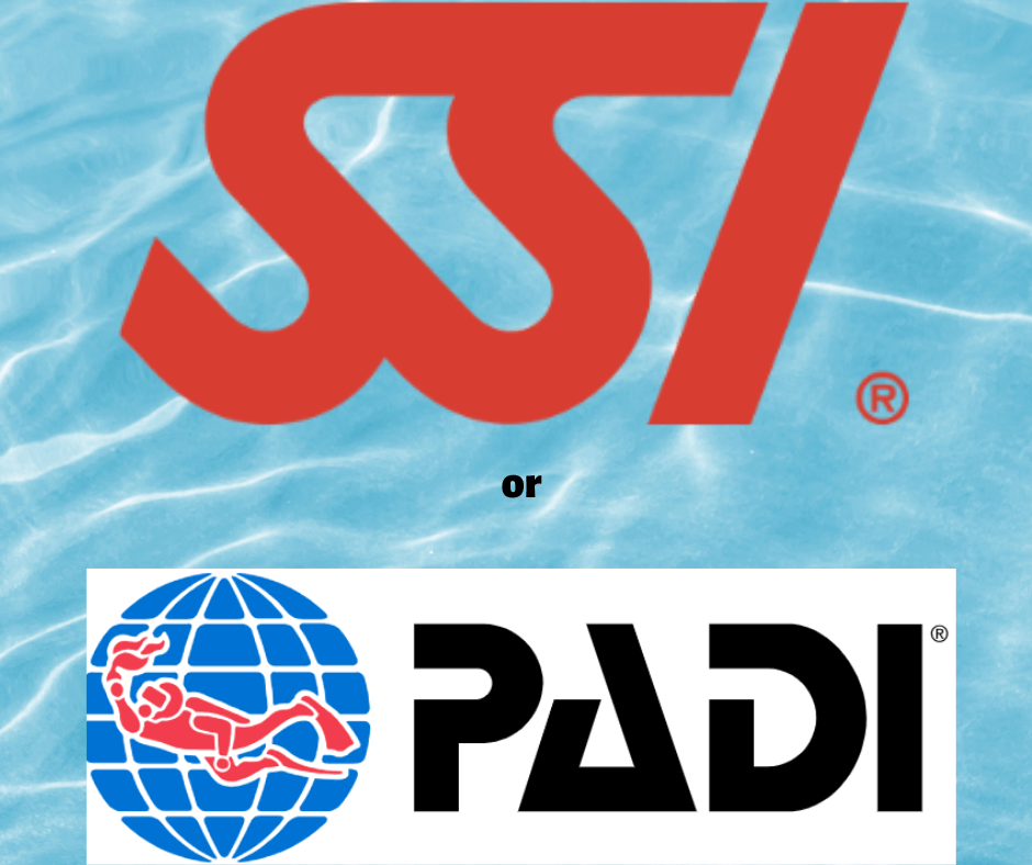 Padi Scuba Logo PADI 5* Award Winning Scuba Diving And Holiday Centre